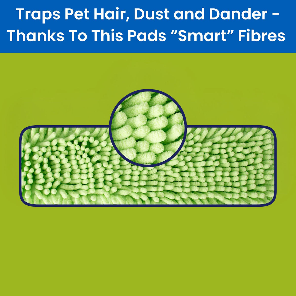 Floor & Surface Pet Cleaning Bundle | PetLab